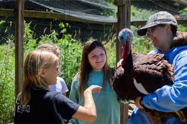 Camp Hidden Meadows - Updated 2025 Cost, Reviews & Detailed Program