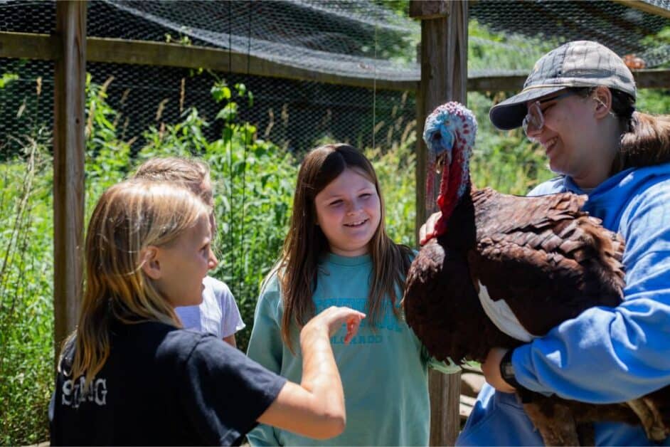 Camp Hidden Meadows - Updated 2025 Cost, Reviews & Detailed Program