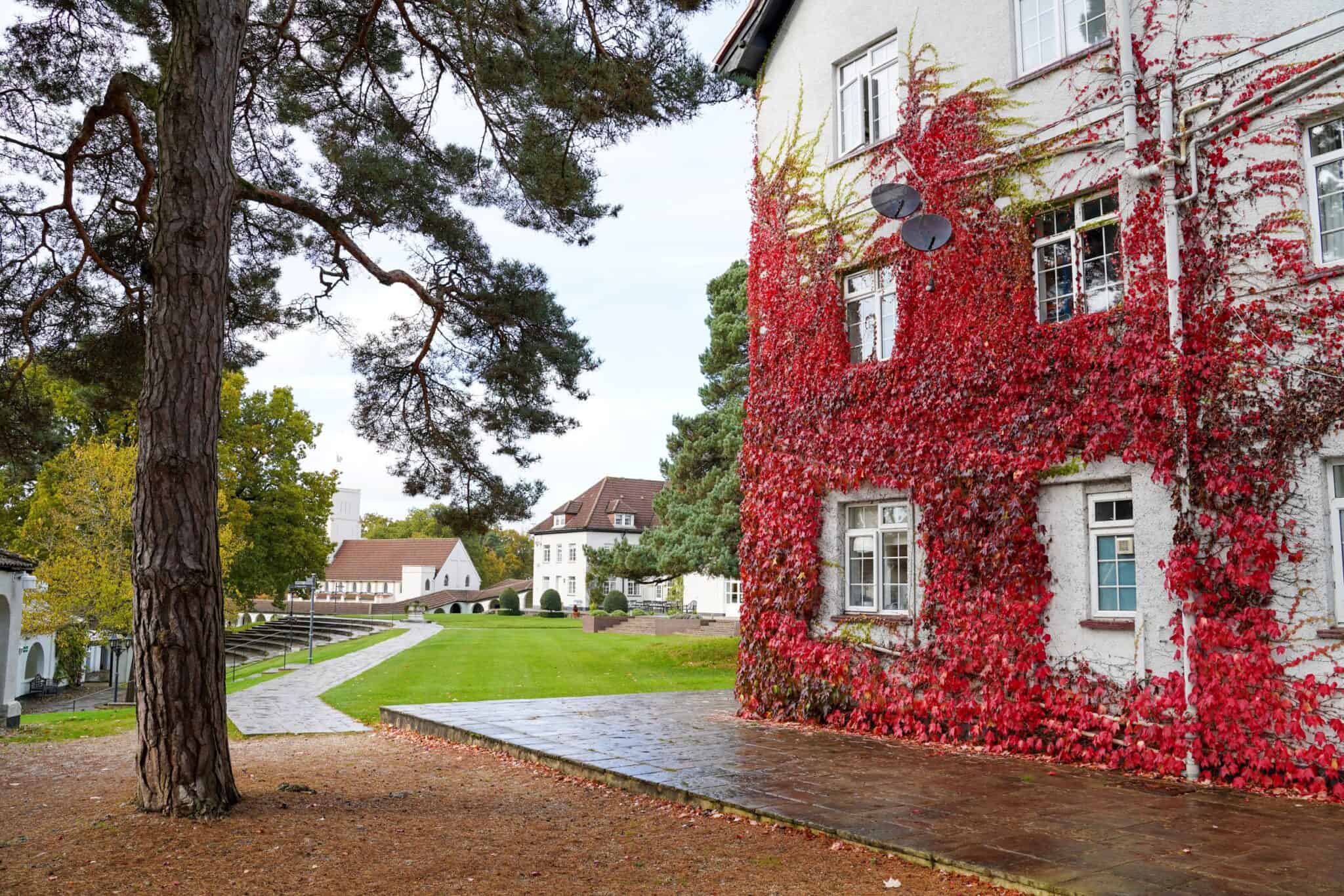 Downe House Summer School - Updated 2026 Cost, Reviews & Detailed Program